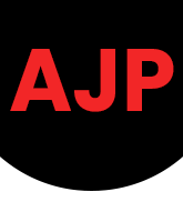 Home - PT. Alldylas Jayatama Perkasa